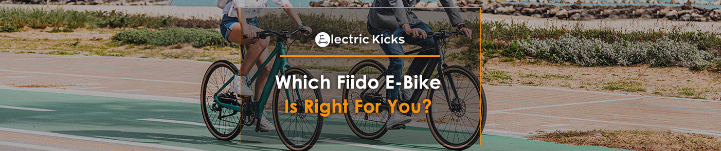 A Fiido For Every Ride: Which Fiido E-Bike is Right For You? – Electric ...