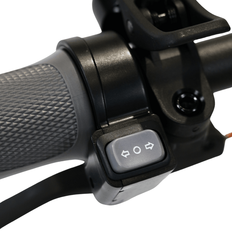 Segway Ninebot F65 | Electric Kicks